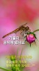 빈체로의 아침편지 9월 7일 수요일 좋은 아침입니다 오늘도 건강하시고 행복한 하루 보내시길 바랍니다♡ 네이버 블로그